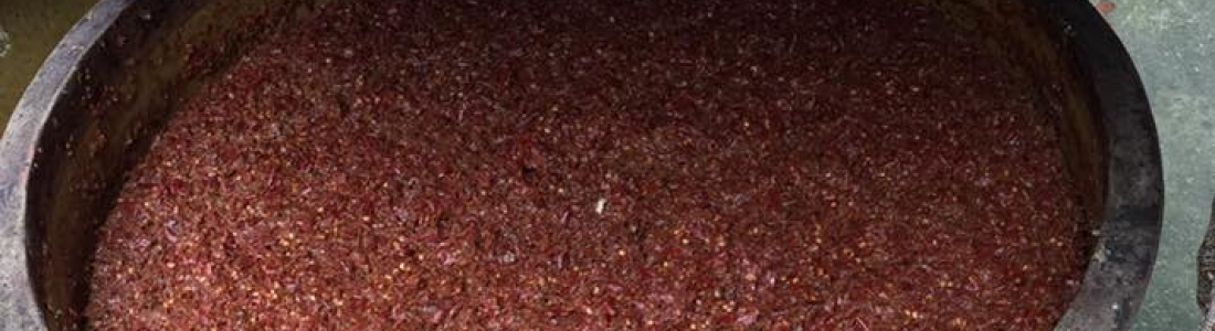 Pandas - Tibetan Quarter - Spices - Moss Haven Farm